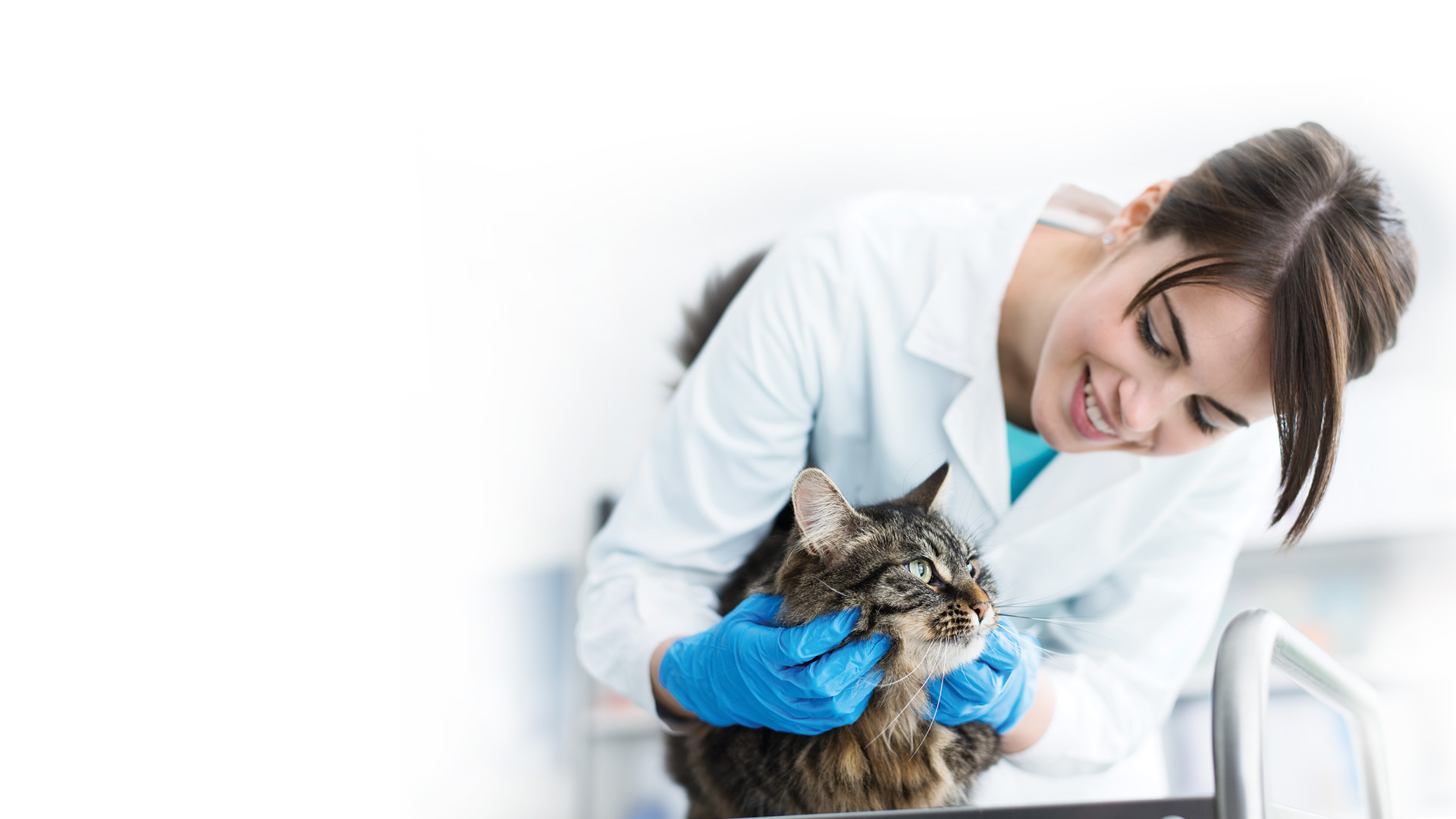 Veterinary Medical Devices | ICU Medical